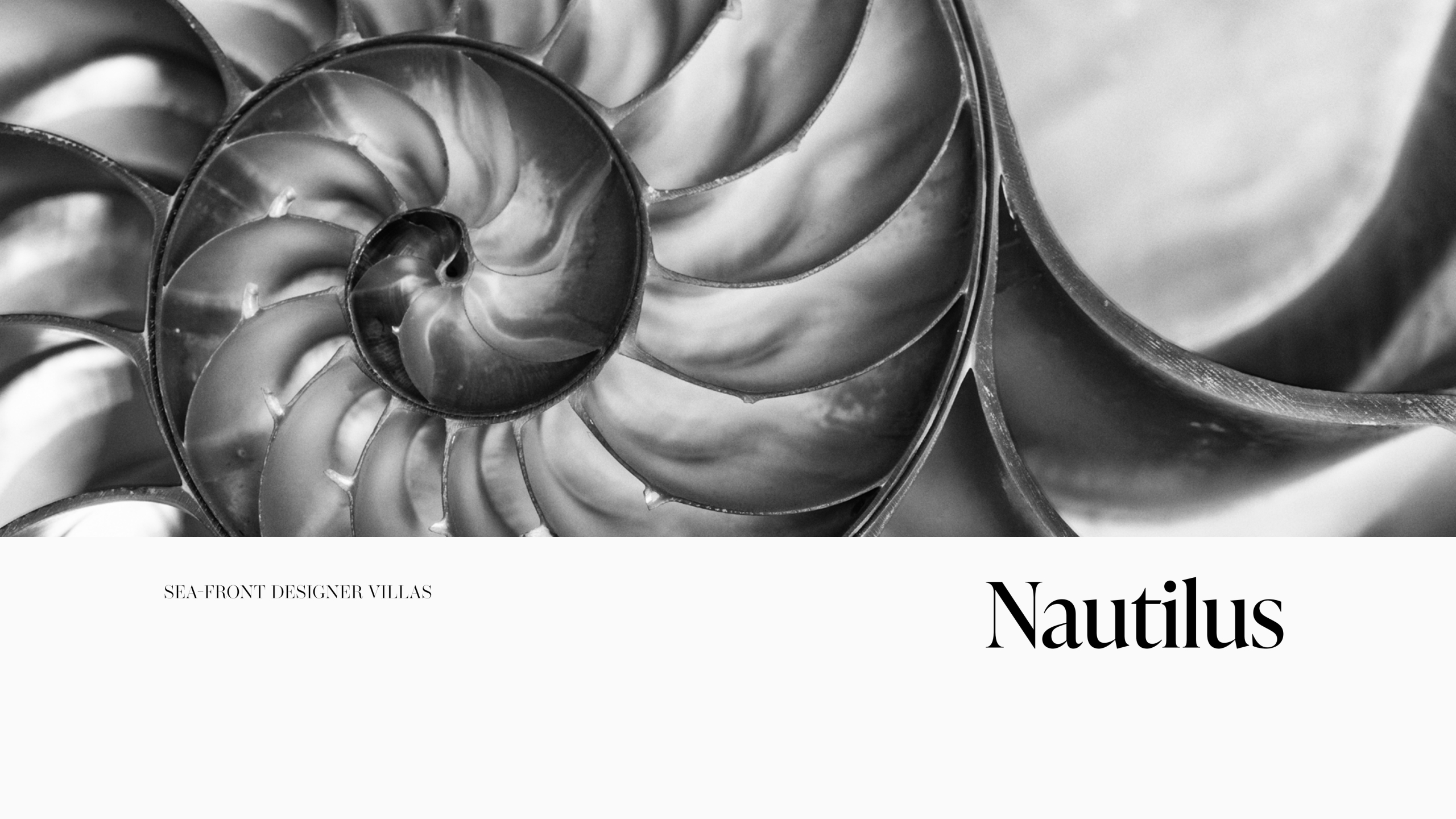 Nautilus - Soma bay - Gibal Red Sea